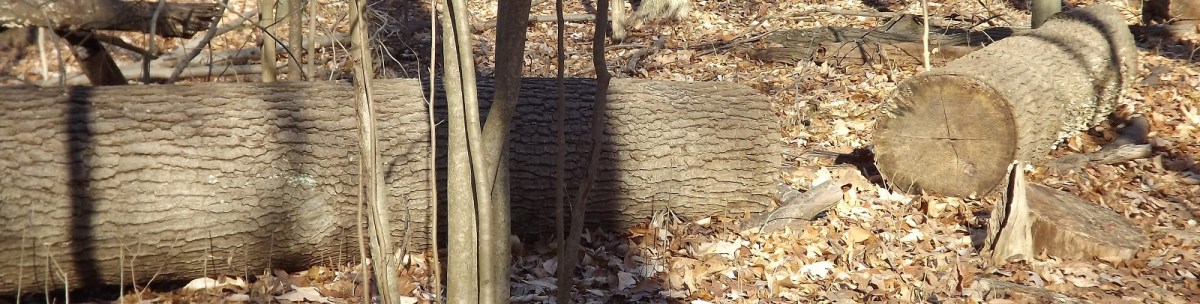 Tree-Puncher – Those Who Sin Differently