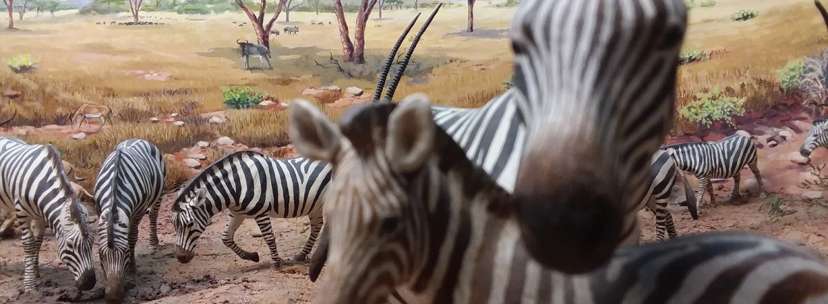 The Herd Effect – Those Who Sin Differently