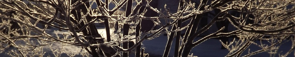 Faith, Facts, and a Future – Those Who Sin Differently