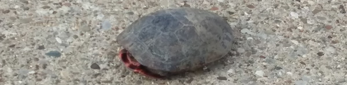 What to Do With Suffering – Those Who Sin Differently